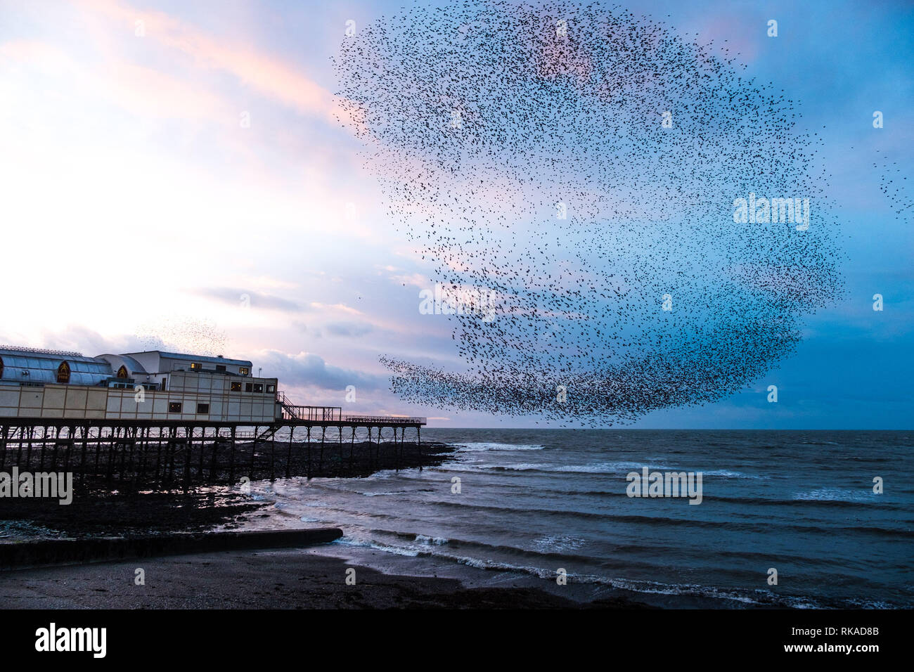 Keith morris starling hi-res stock photography and images - Alamy