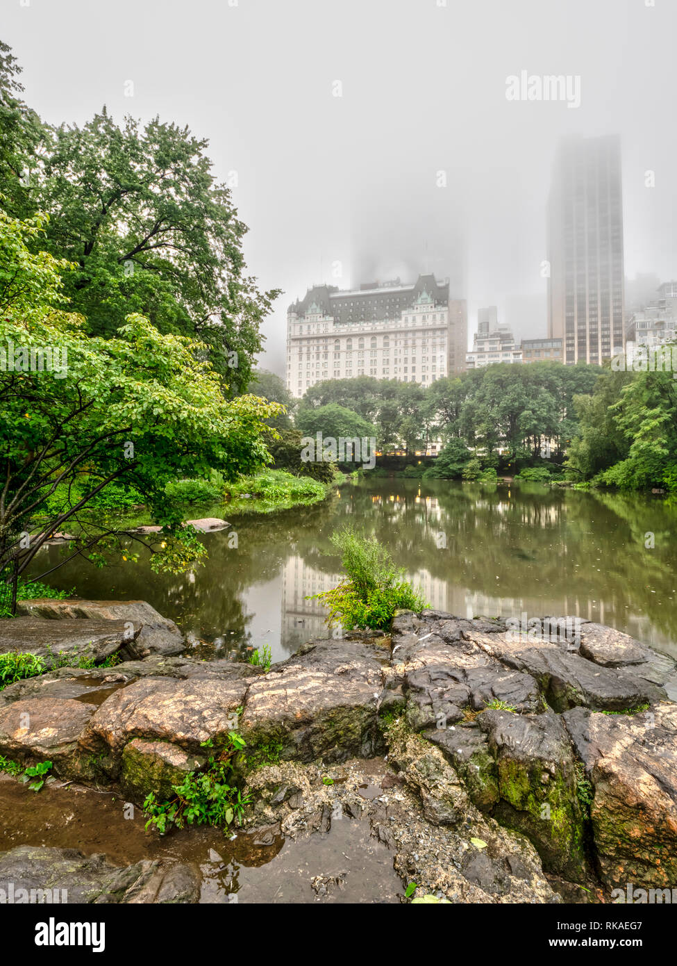 Central Park, New York City during rain storm with mist and fog Stock ...