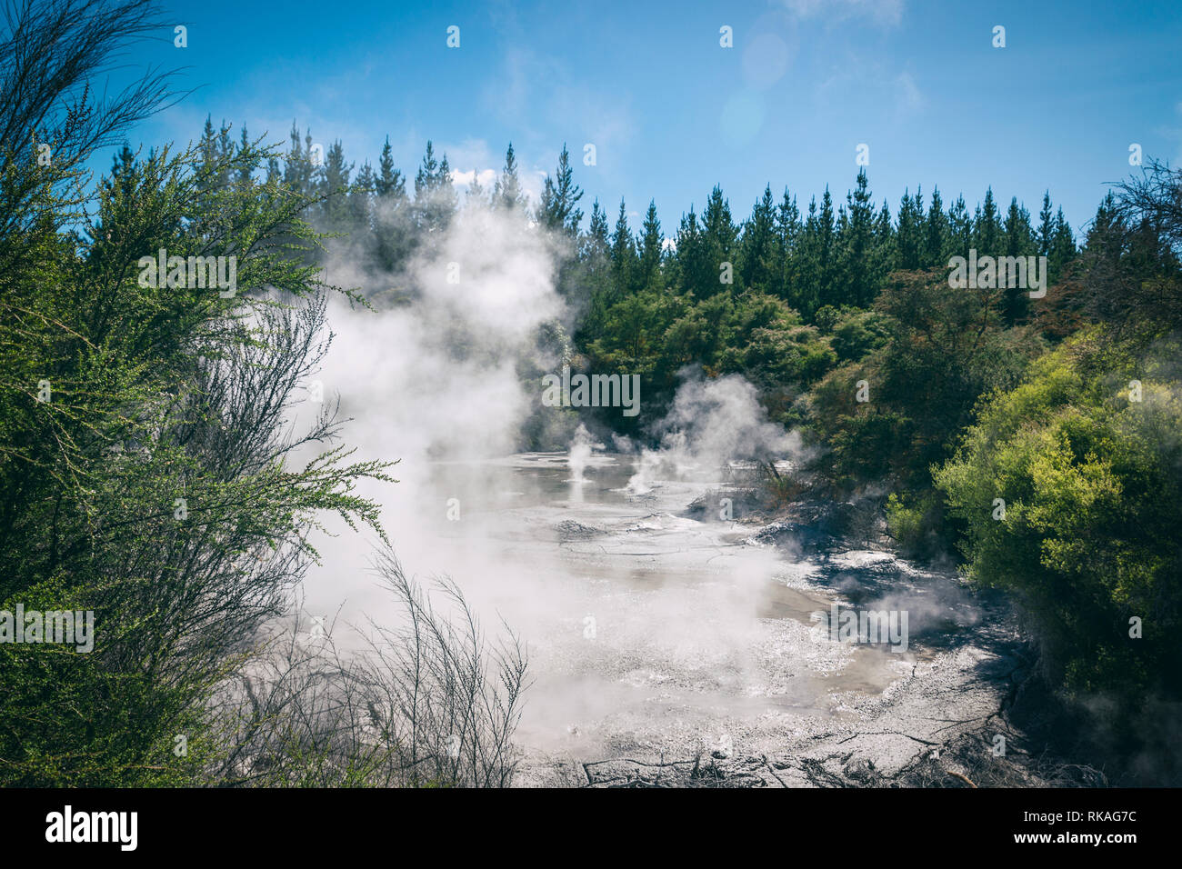 An exploding hot mud pool in Wai-O-Tapu Thermal Wonderland, Rotorua ...