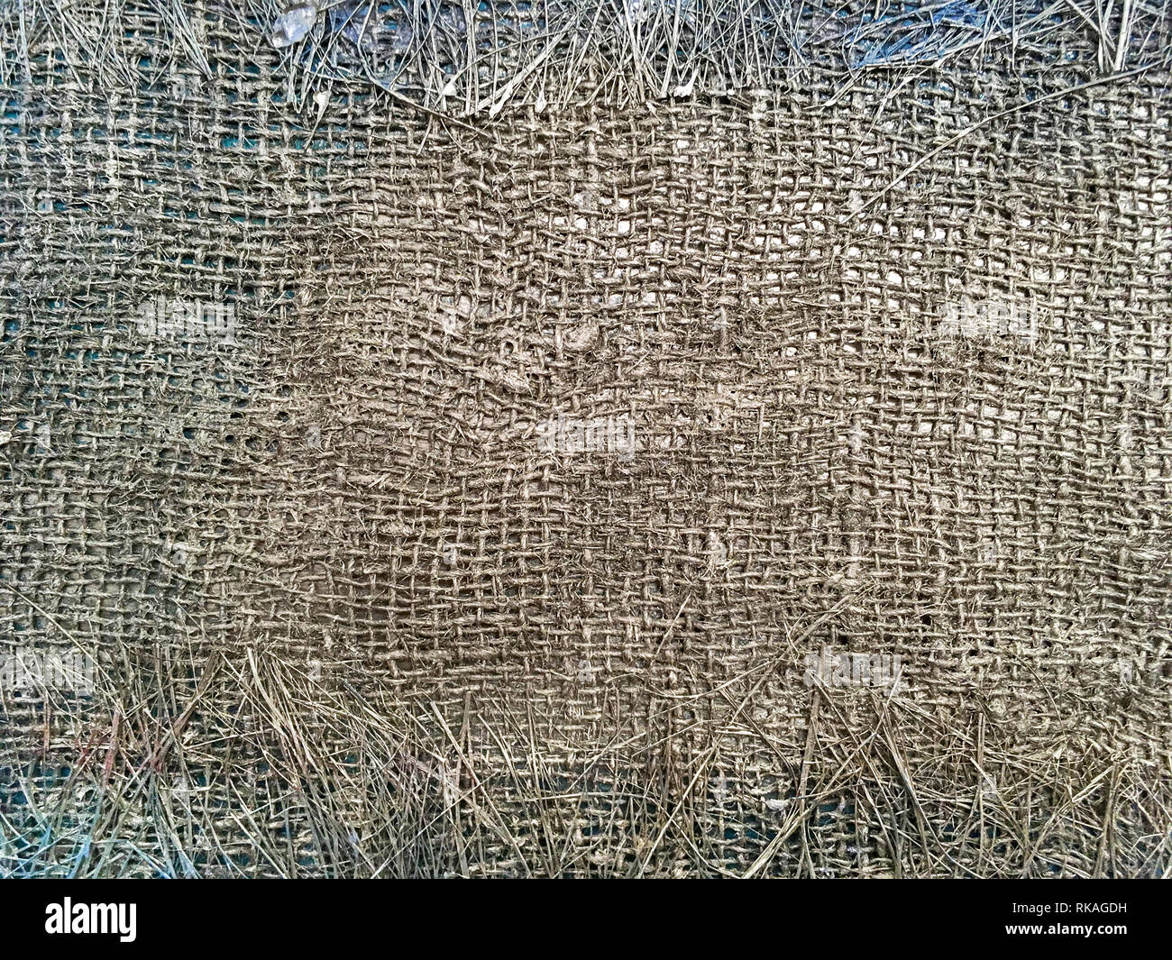 Bronze color hi-res stock photography and images - Alamy