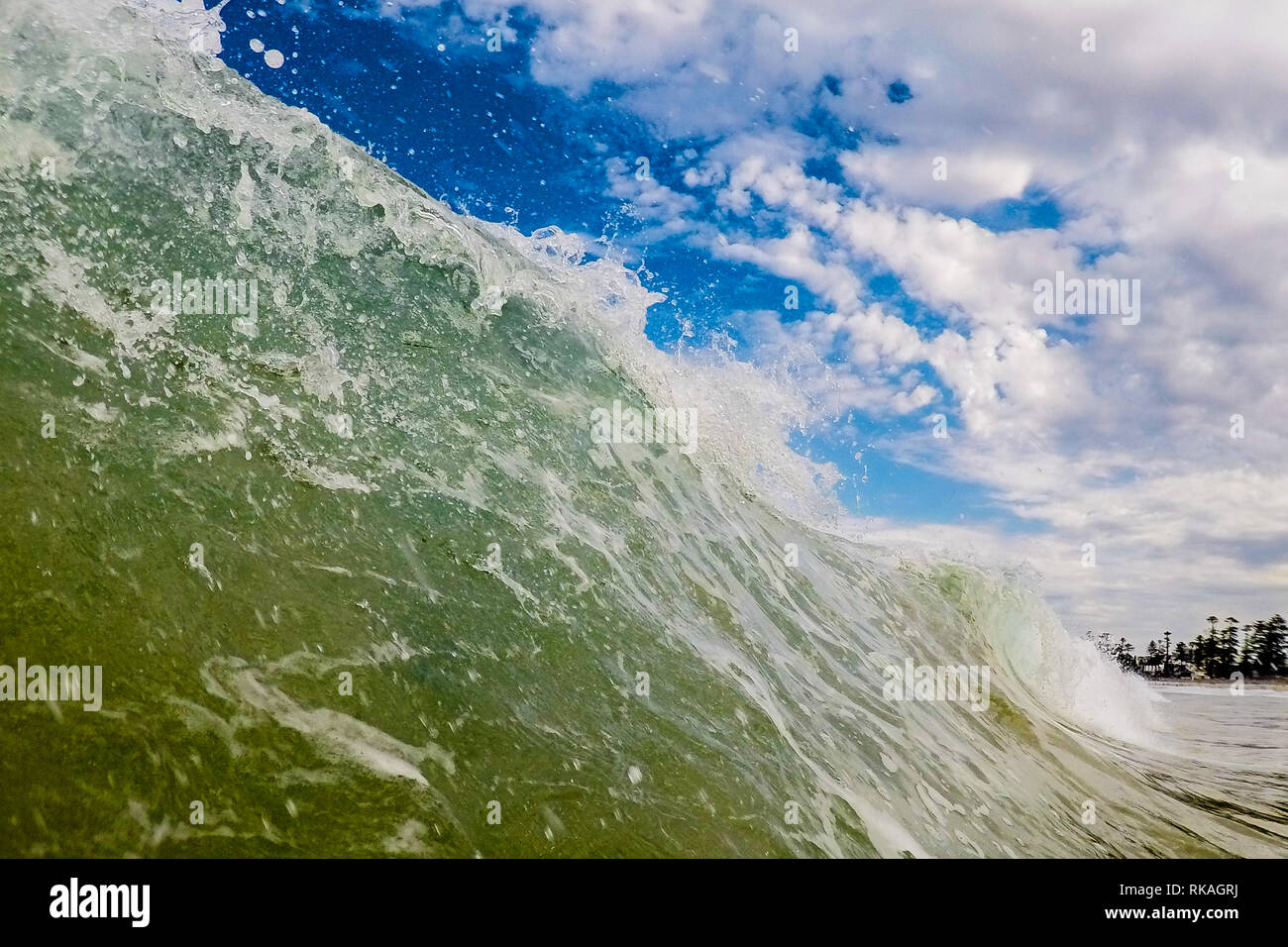 A wave breaks in the sea Stock Photo - Alamy