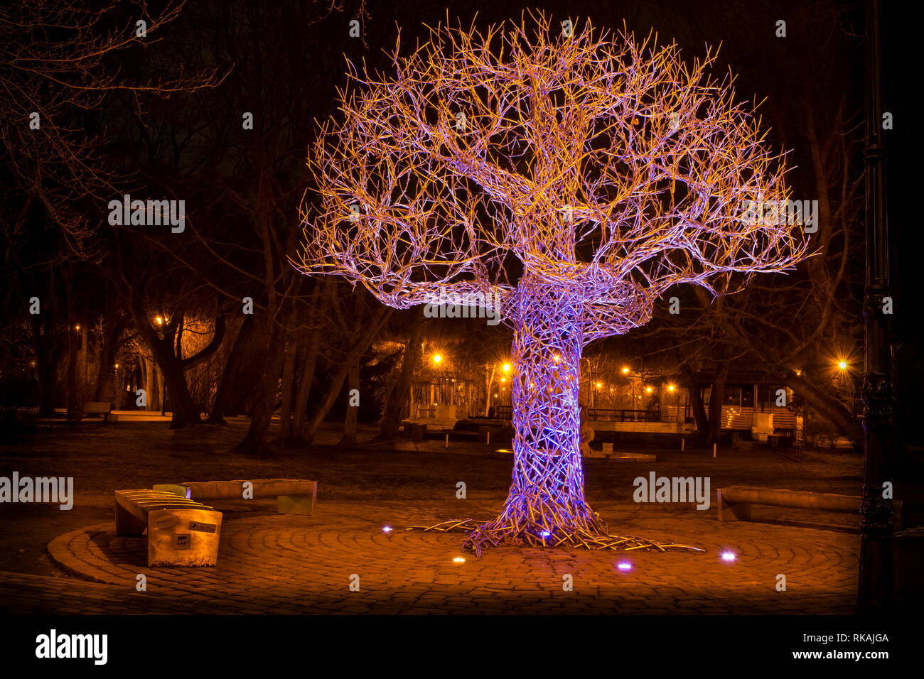 Memorable place Tree of Ghosts. This is an impressive six-meter tree ...