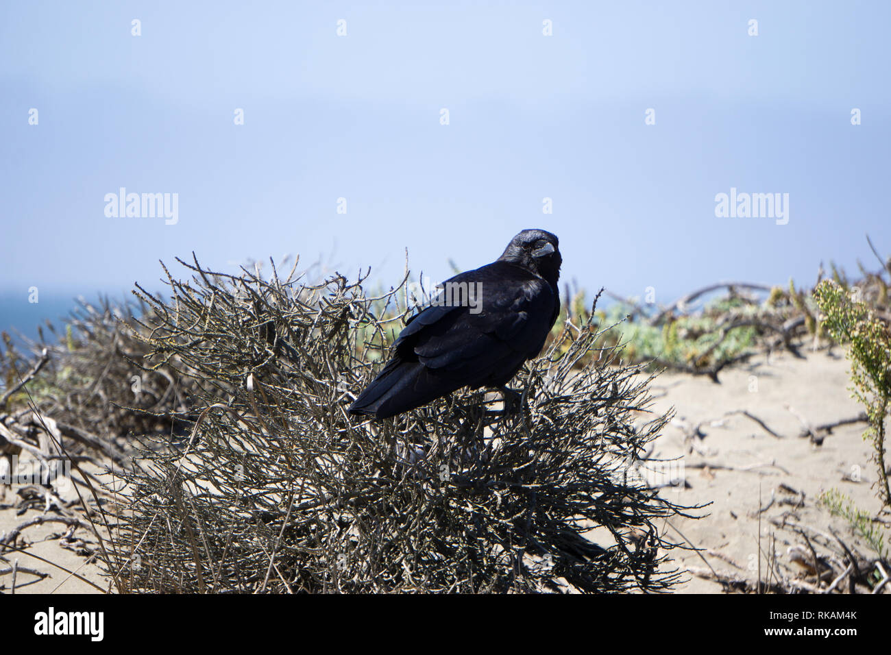 Suspecious hi-res stock photography and images - Alamy