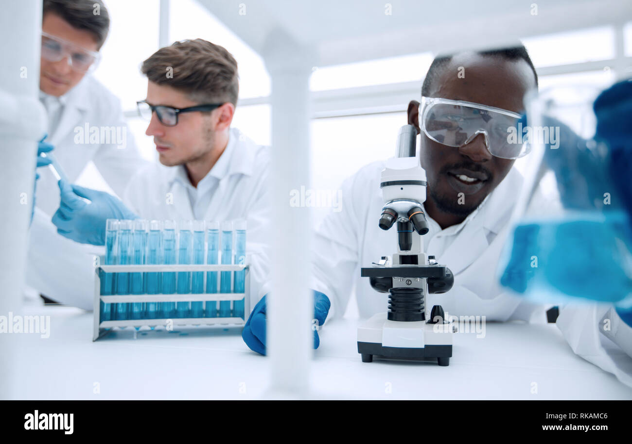 team of young scientists conduct research.photo with copy space Stock ...