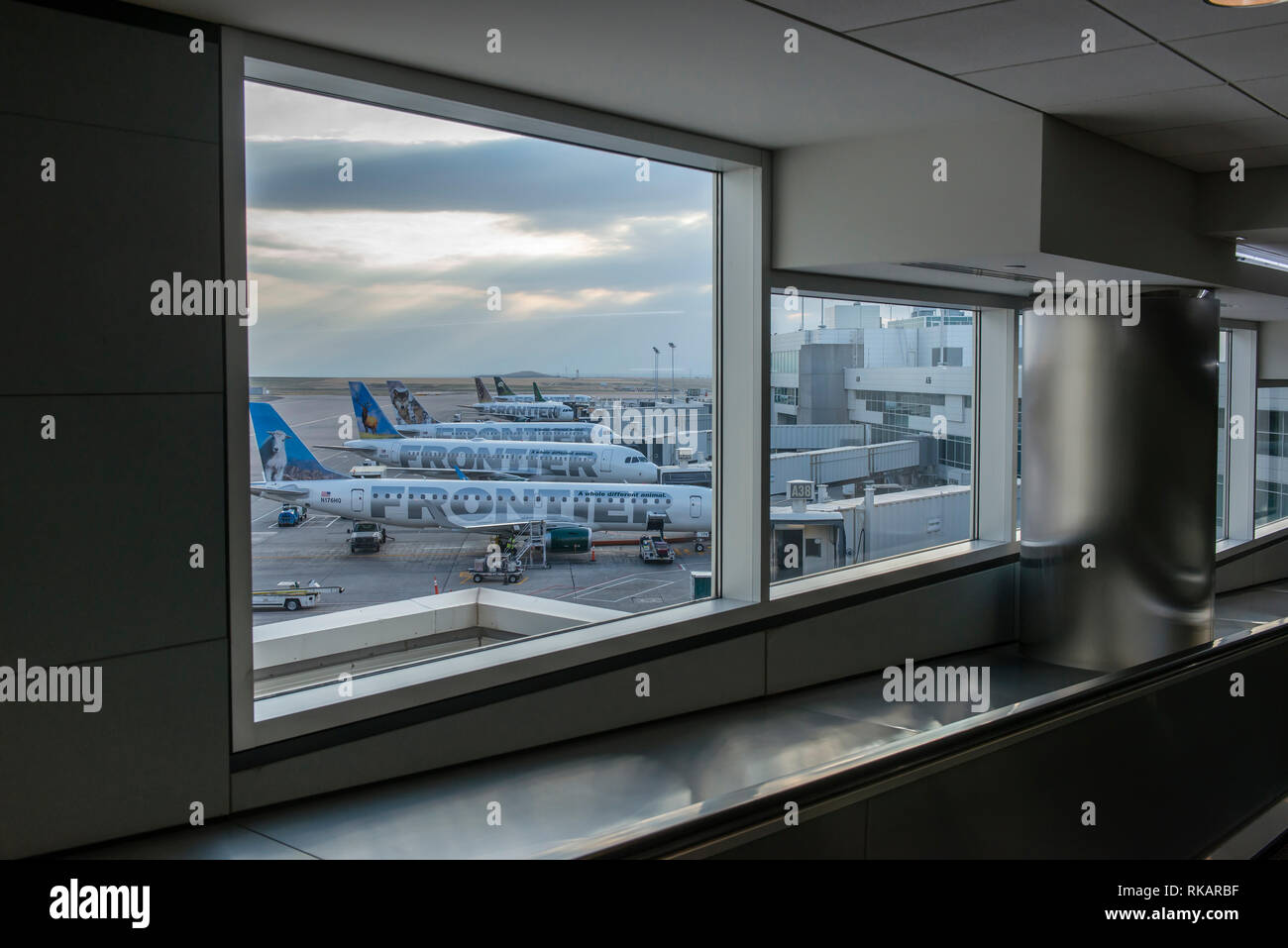Frontier Airlines fleet at Denver International Airport, Colorado, USA ...