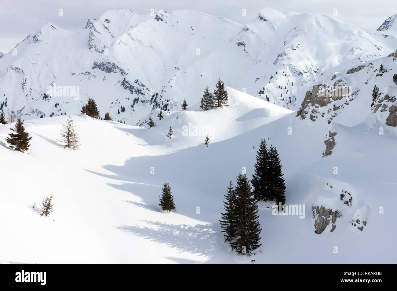 beautiful Alps mountain lanscape fir trees and rocks under snow Stock ...