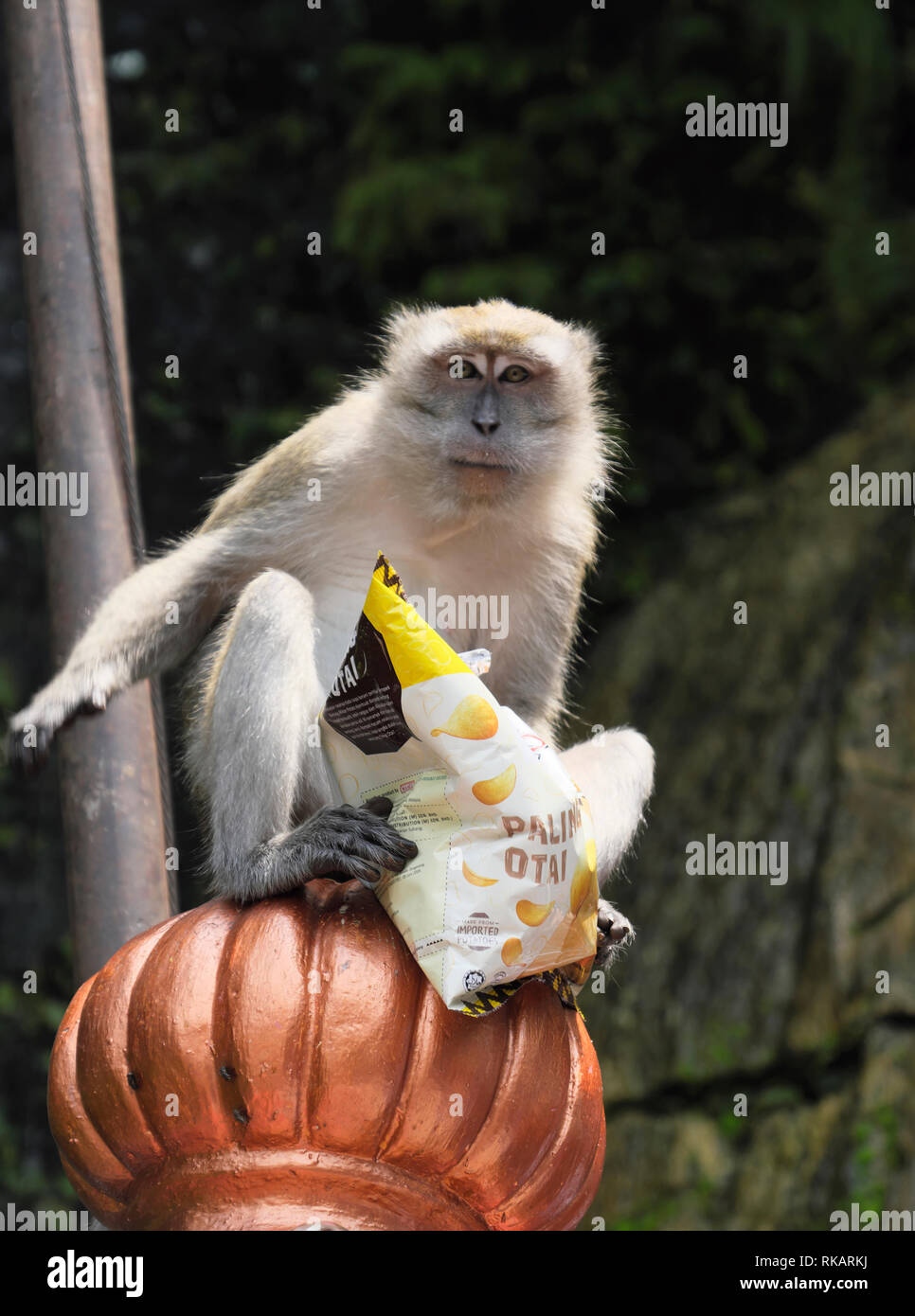 Worlds tallest murugan statue batu hi-res stock photography and images ...