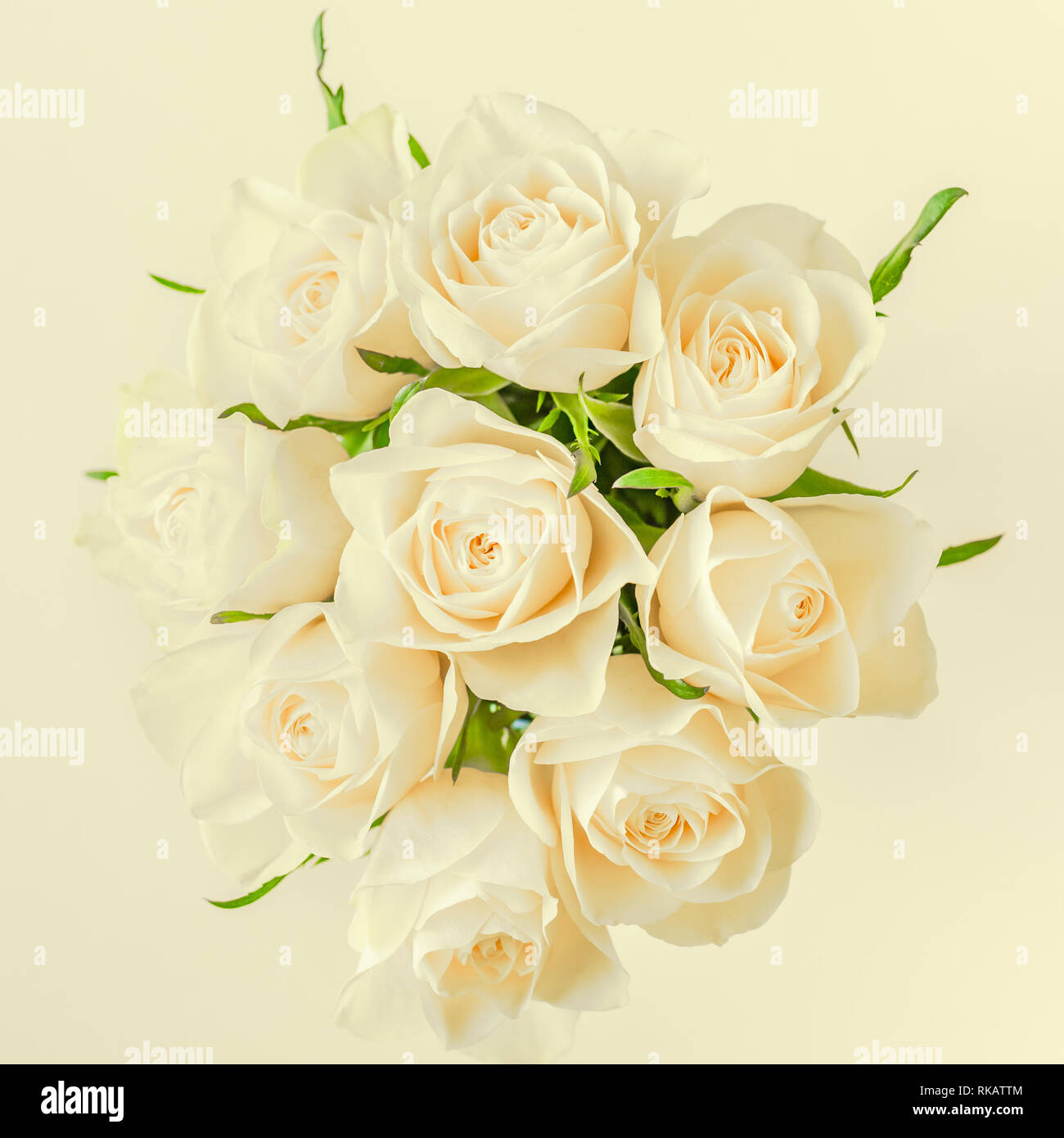 Creative top view flat lay fresh white roses bouquet with copy space ...