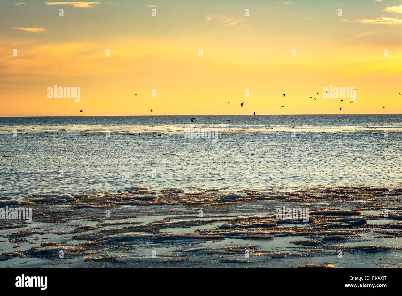 Winter landscape on the Baltic Sea. Cold winter evening in Jastarnia ...