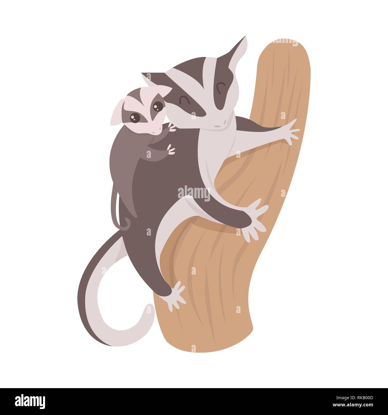 Cute mother sugar glider with her child on a back. Parent concept Stock ...