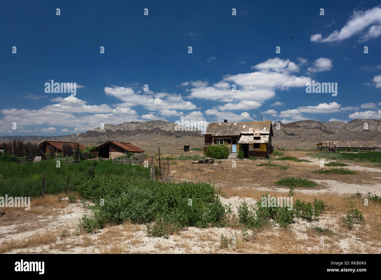 Alazai tal hi-res stock photography and images - Alamy