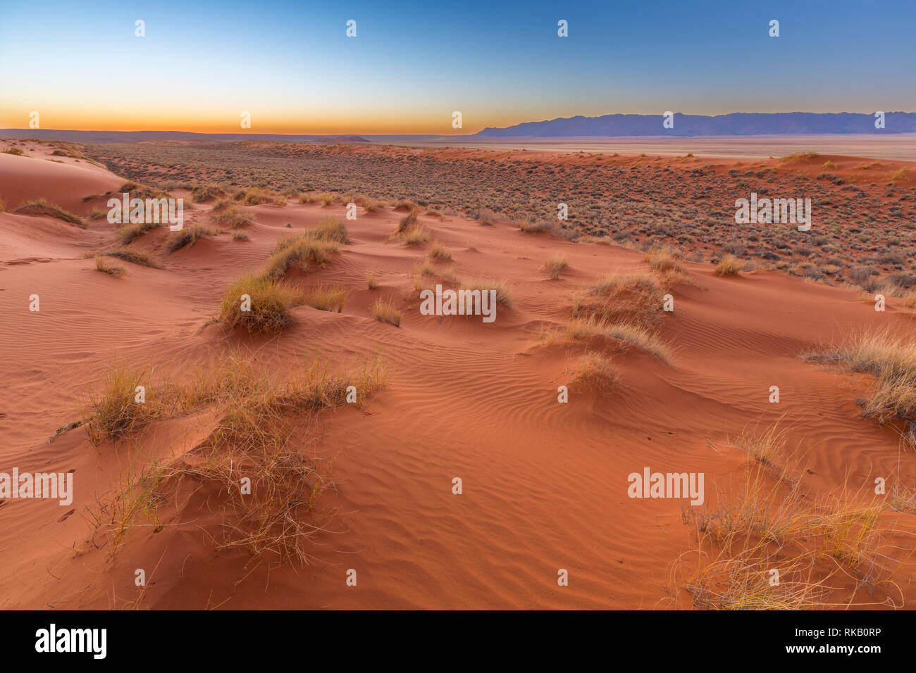 Red Kalahari Sand Stock Photo - Alamy