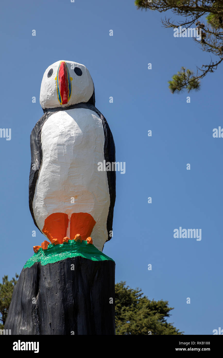 Dead puffin hi-res stock photography and images - Alamy