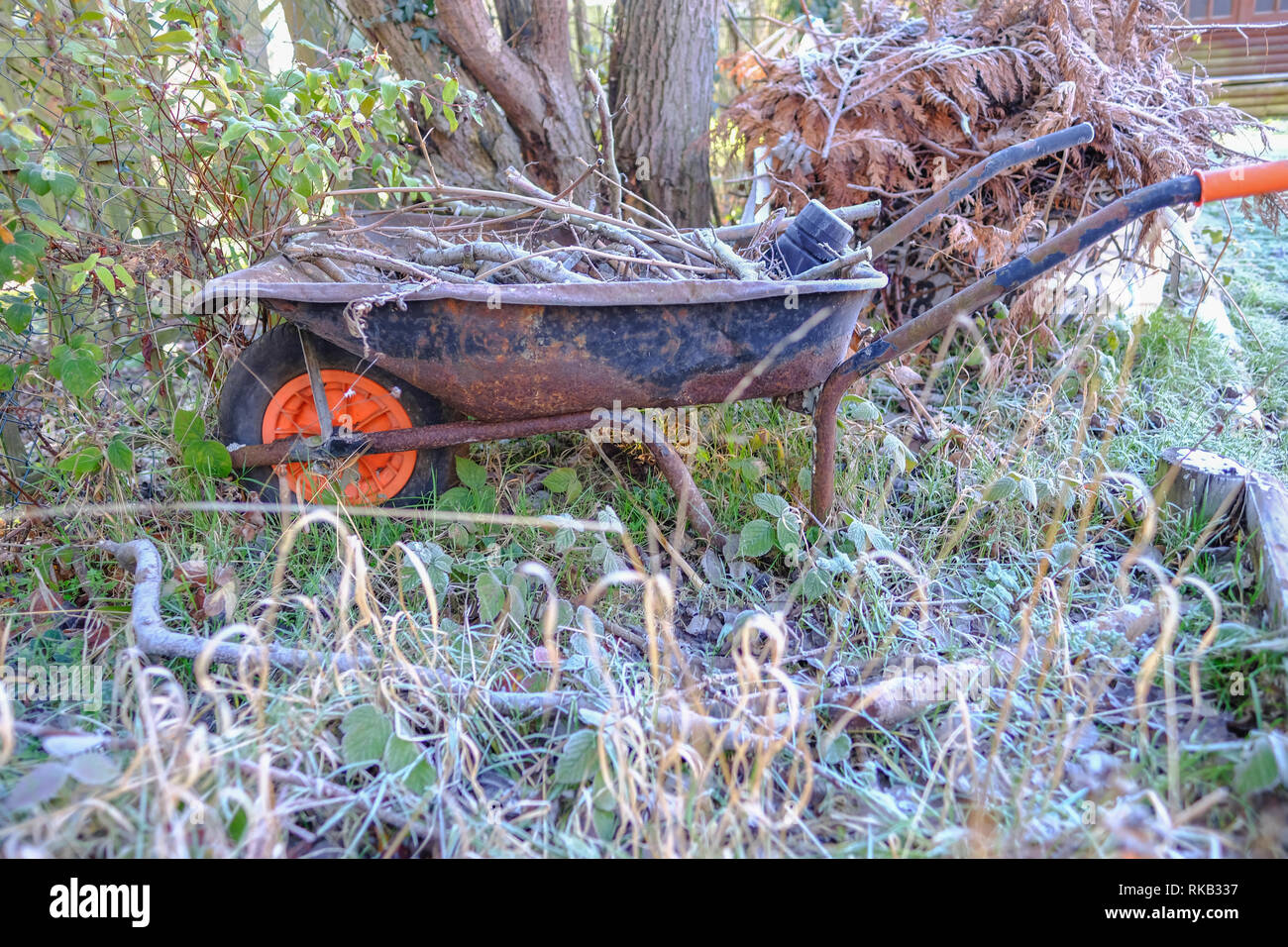 Untidy garden hi-res stock photography and images - Alamy