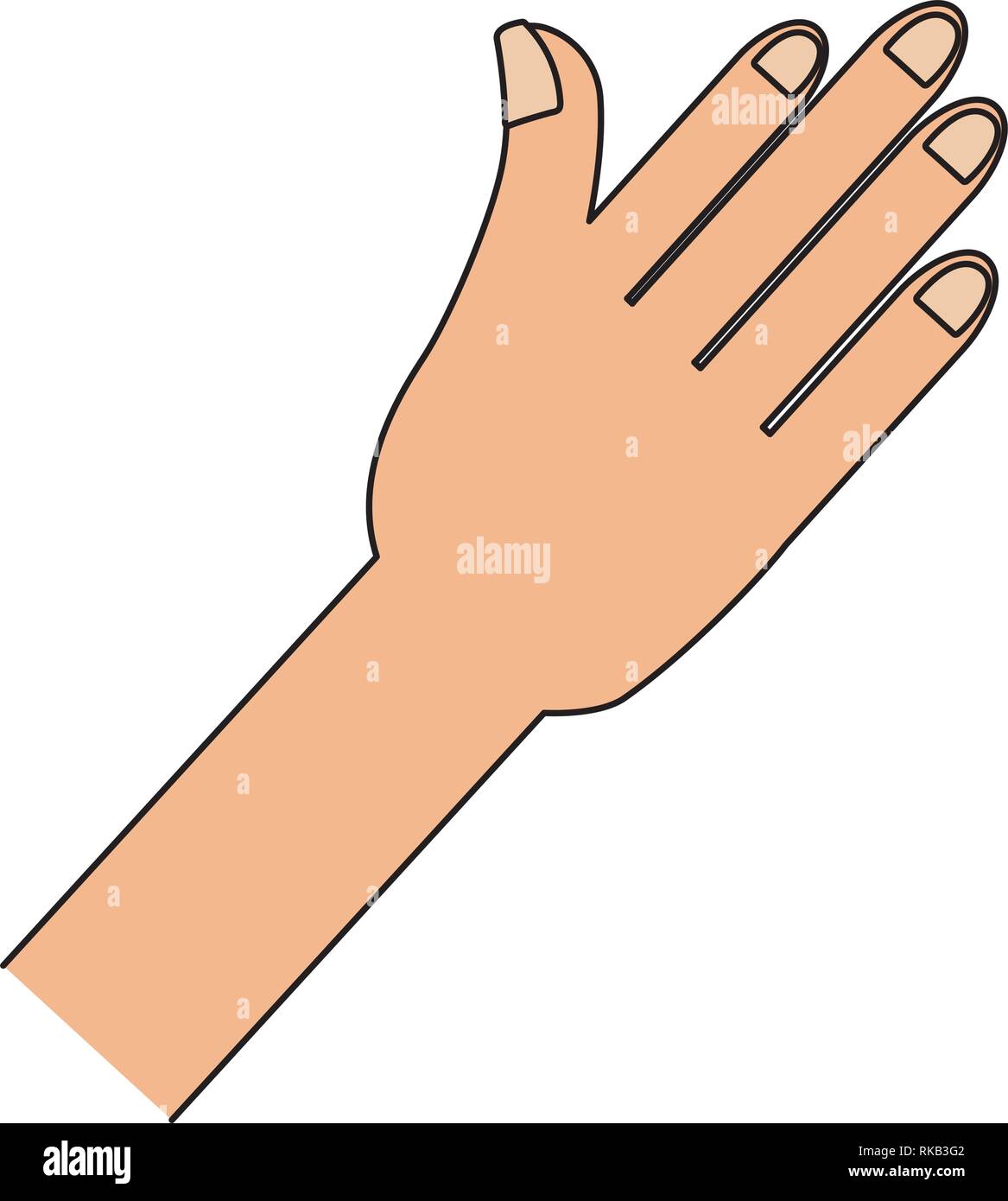 human hand cartoon vector illustration graphic design Stock Vector ...