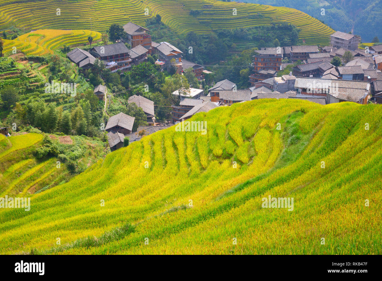 The Longsheng Rice Terraces(Dragon's Backbone) also known as Longji ...