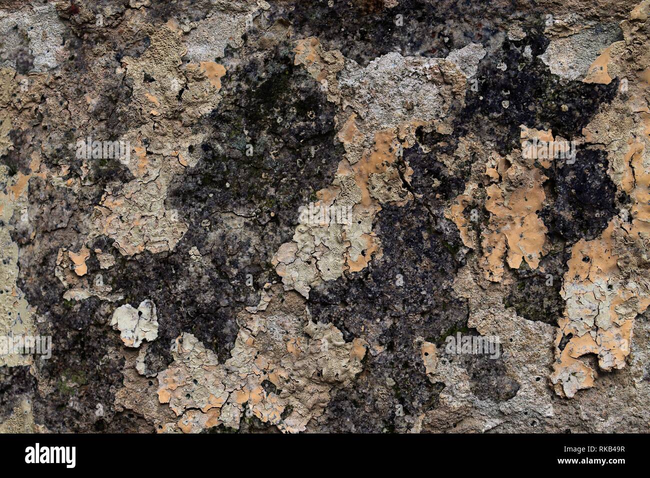 Close up high resolution surface of weathered paint on a wall Stock ...