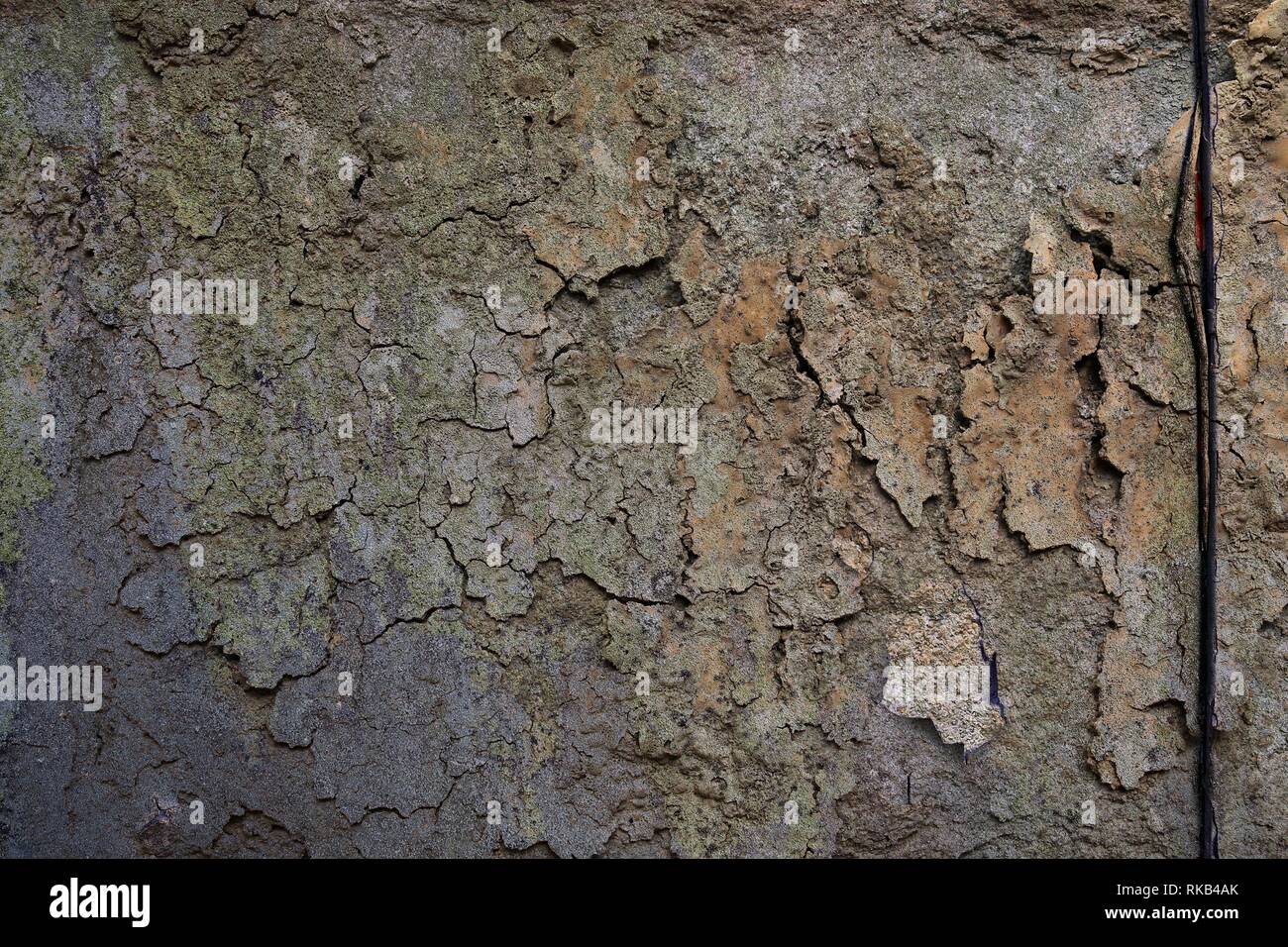 Close up high resolution surface of weathered paint on a wall Stock ...