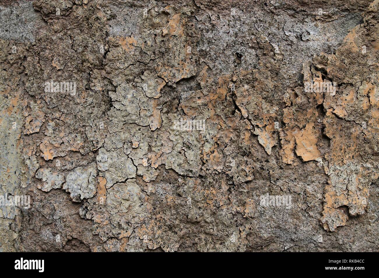 Close up high resolution surface of weathered paint on a wall Stock ...