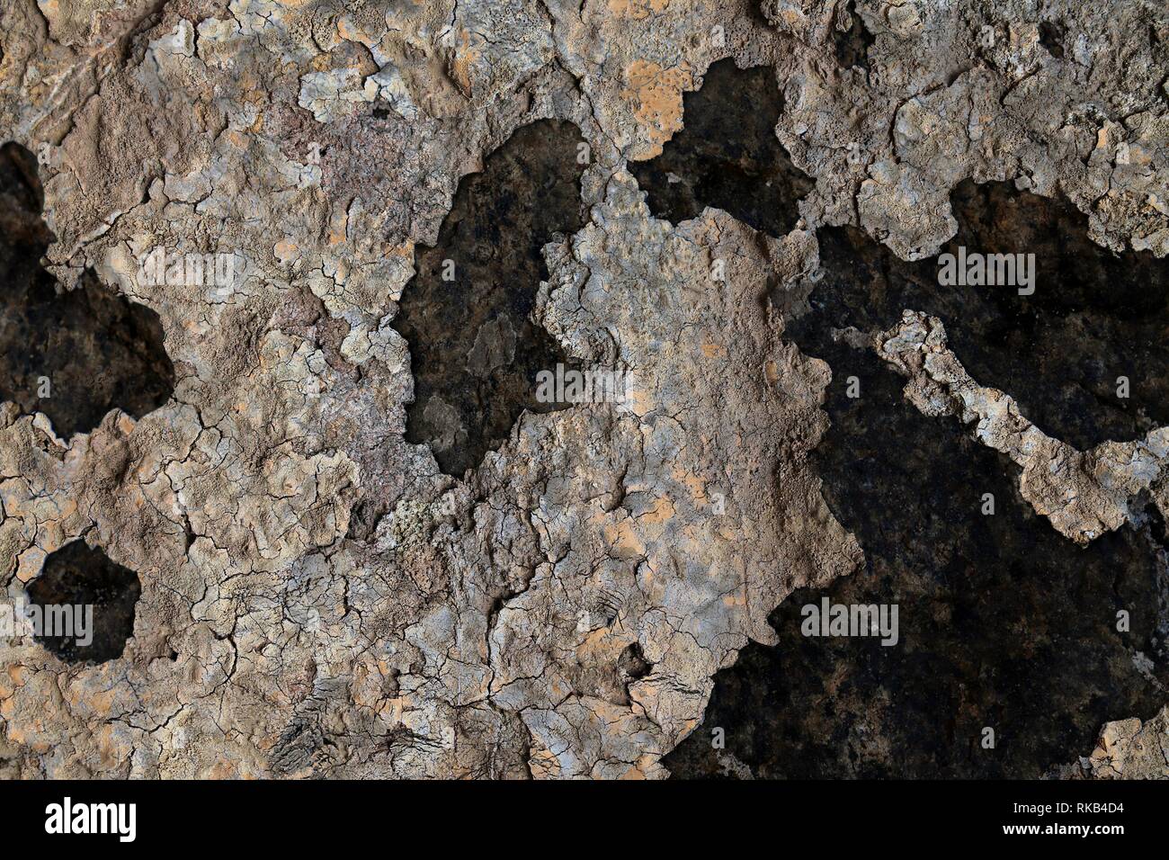 Close up high resolution surface of weathered paint on a wall Stock ...