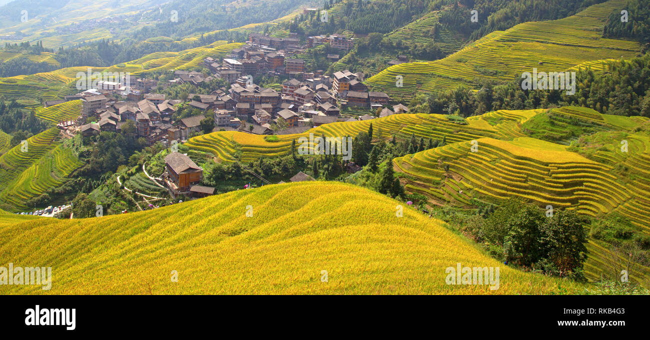 The Longsheng Rice Terraces(Dragon's Backbone) also known as Longji ...