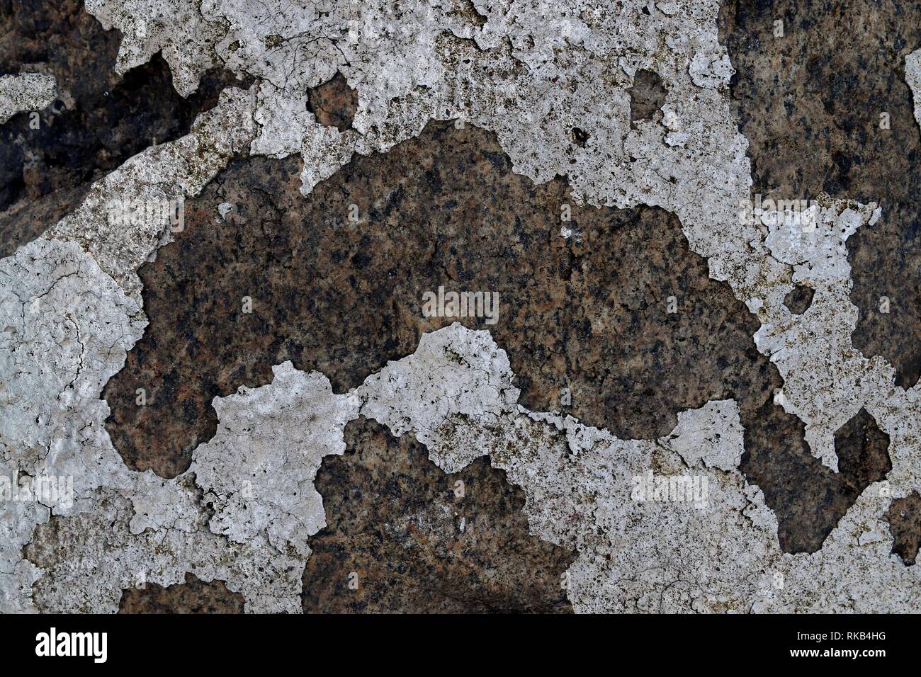 Close up high resolution surface of weathered paint on a wall Stock ...