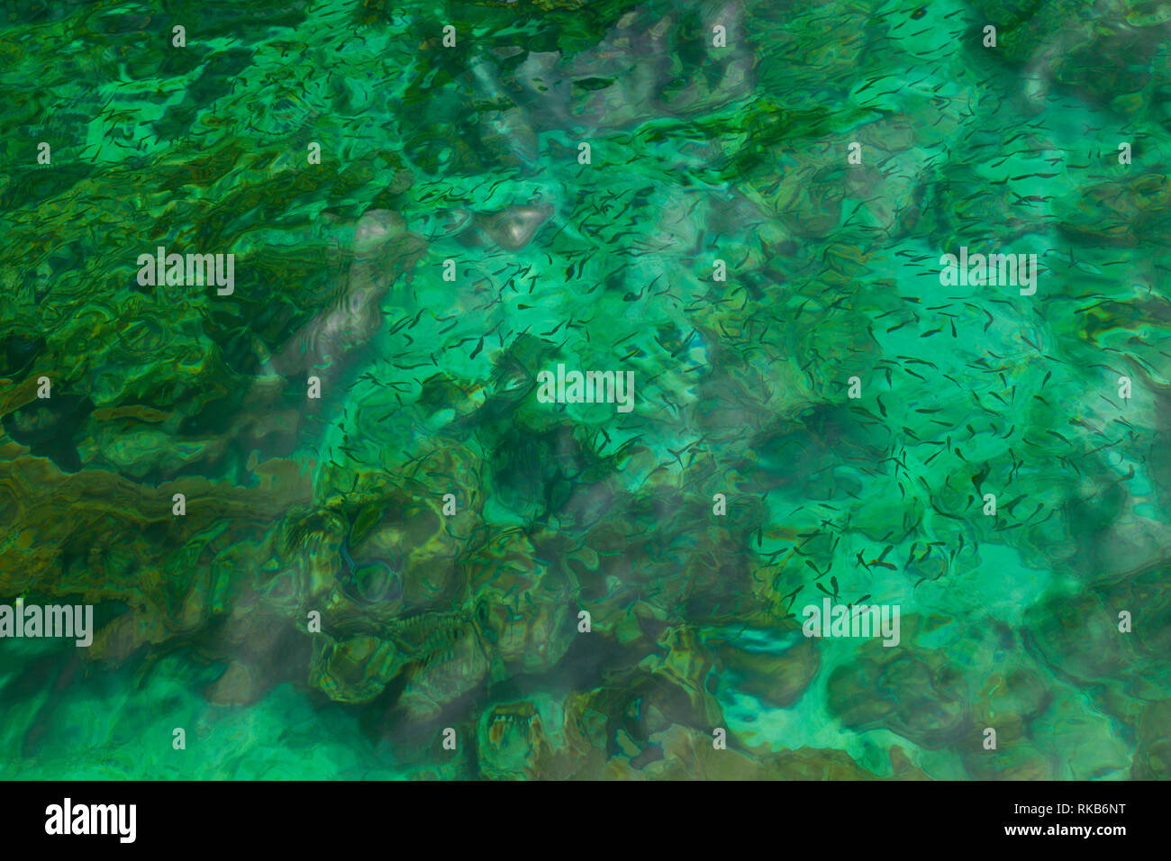 Koh Yang. Adang Archipelago. Tarutao Marine National Park. Satun ...