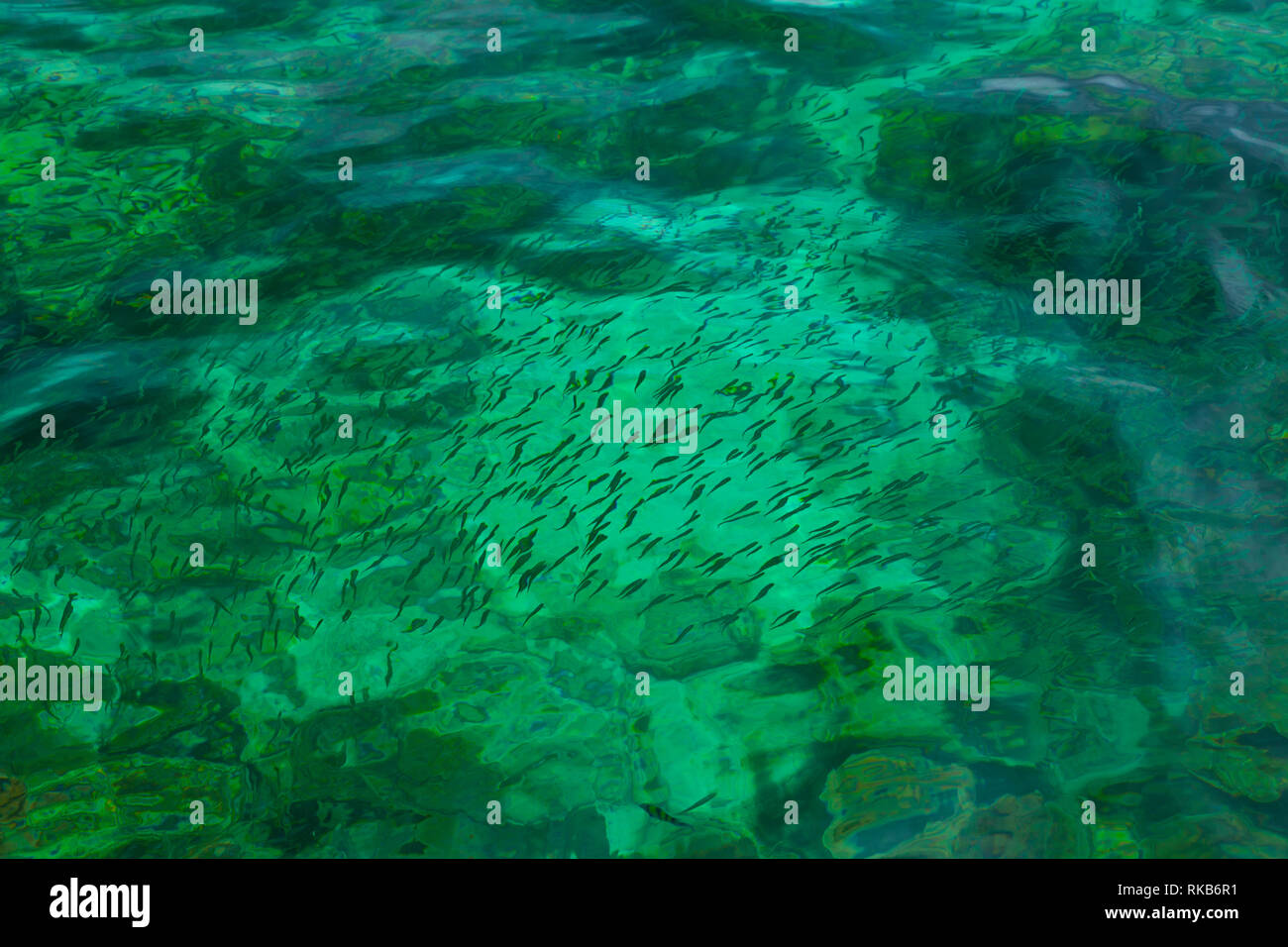 Koh Yang. Adang Archipelago. Tarutao Marine National Park. Satun ...