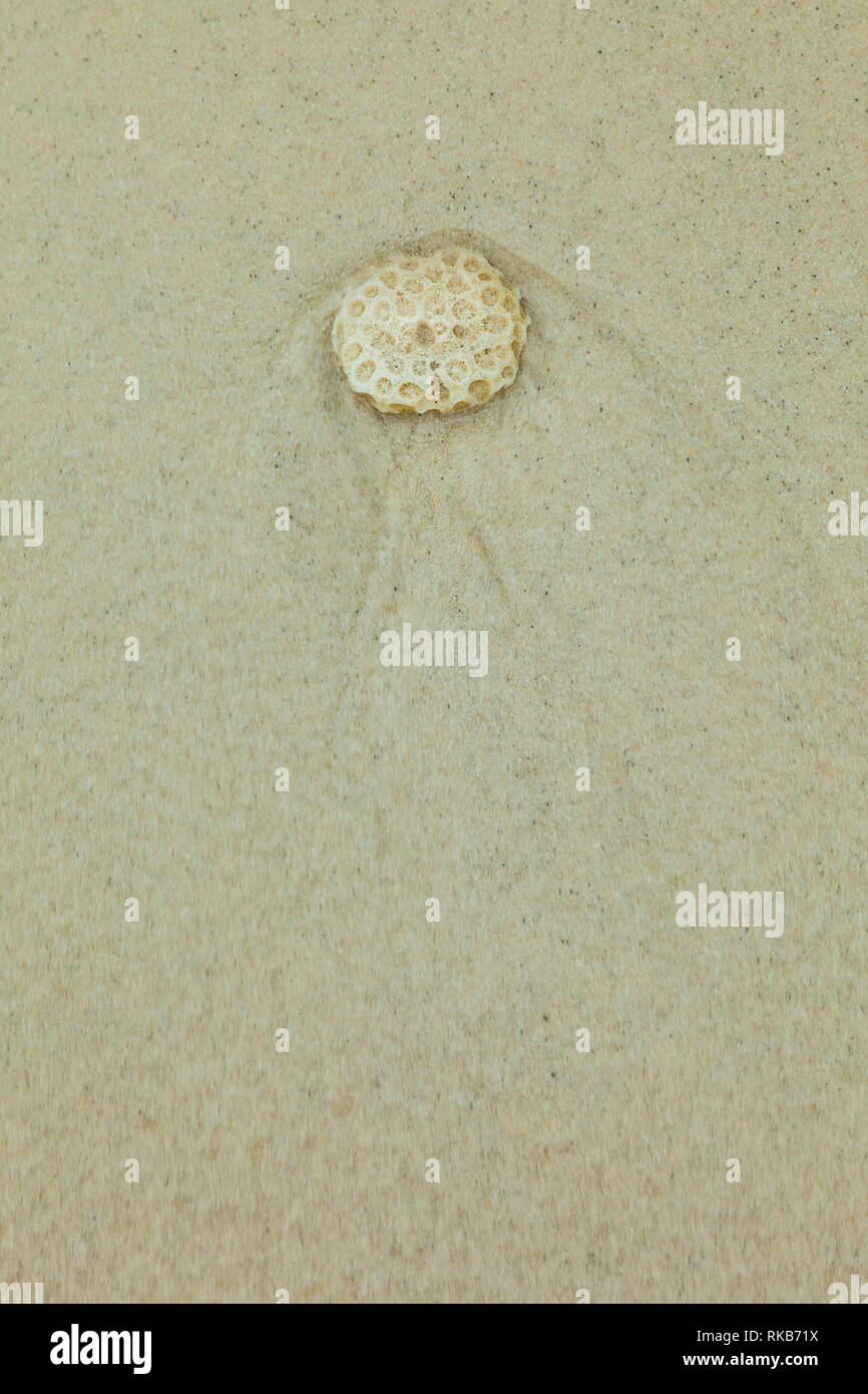 Koh Rawi. Adang Archipelago. Tarutao Marine National Park. Satun ...