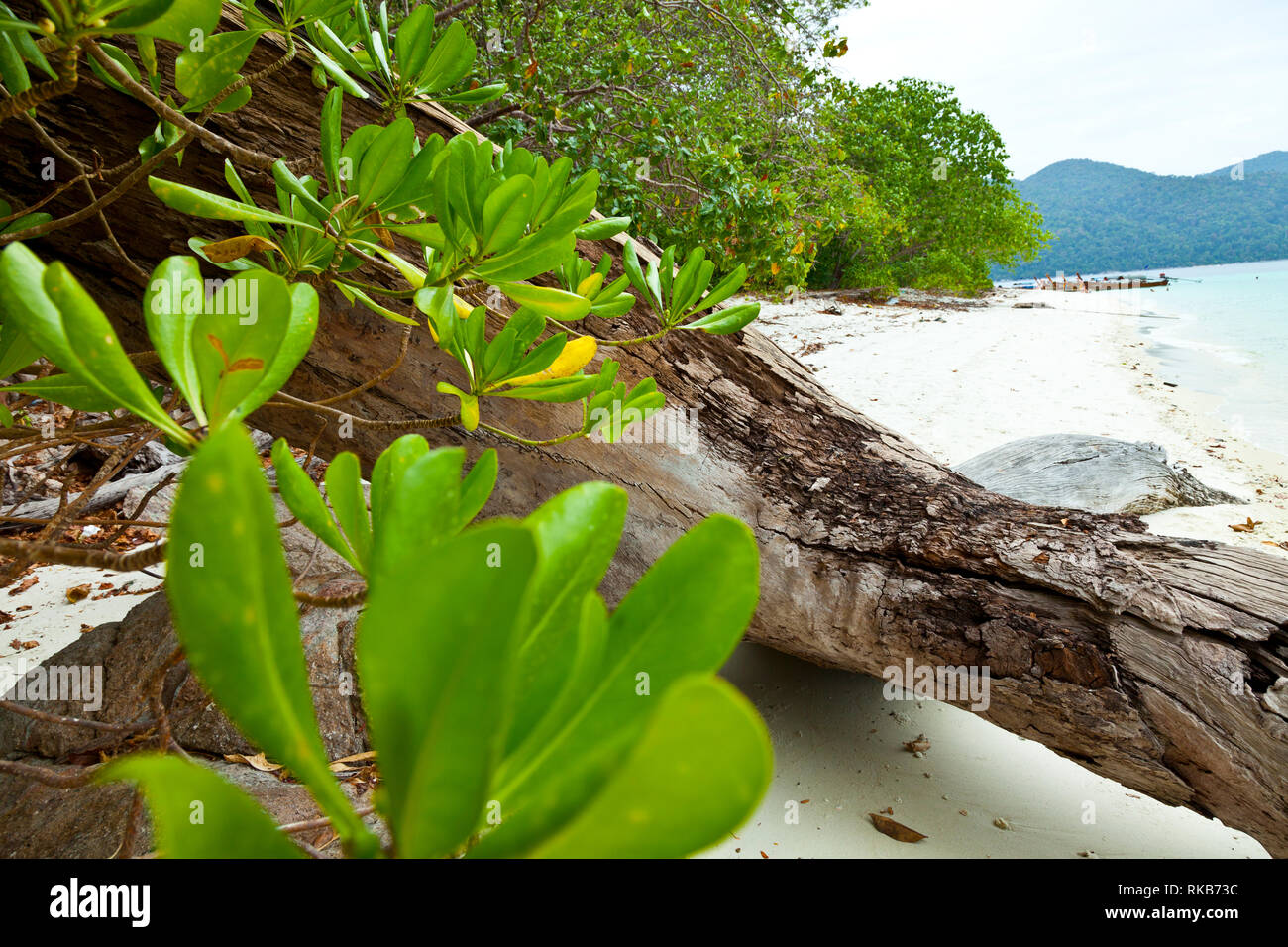 Koh Rawi. Adang Archipelago. Tarutao Marine National Park. Satun ...