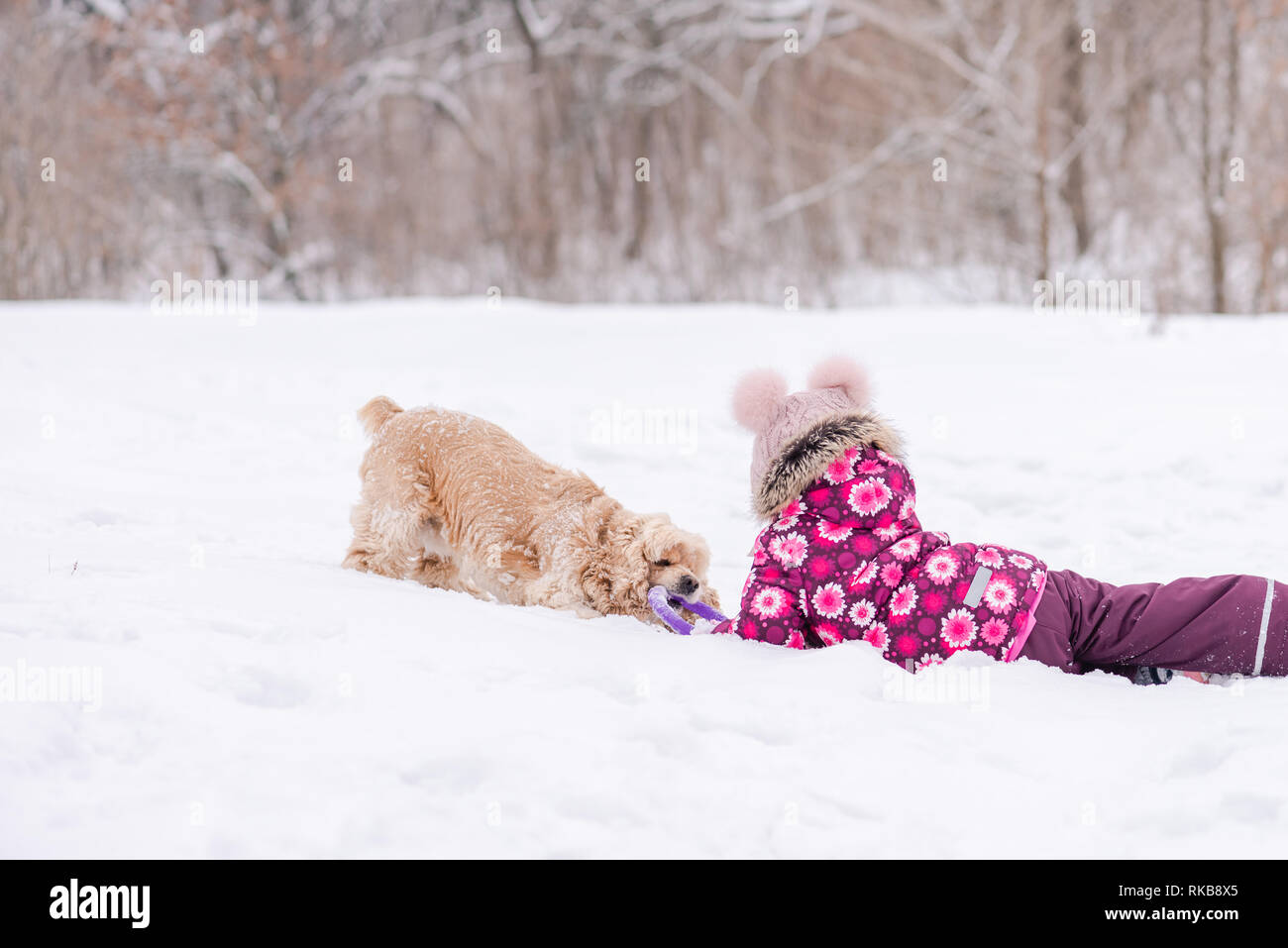 Female child having fun with cocker spaniel in winter. Small girl play ...