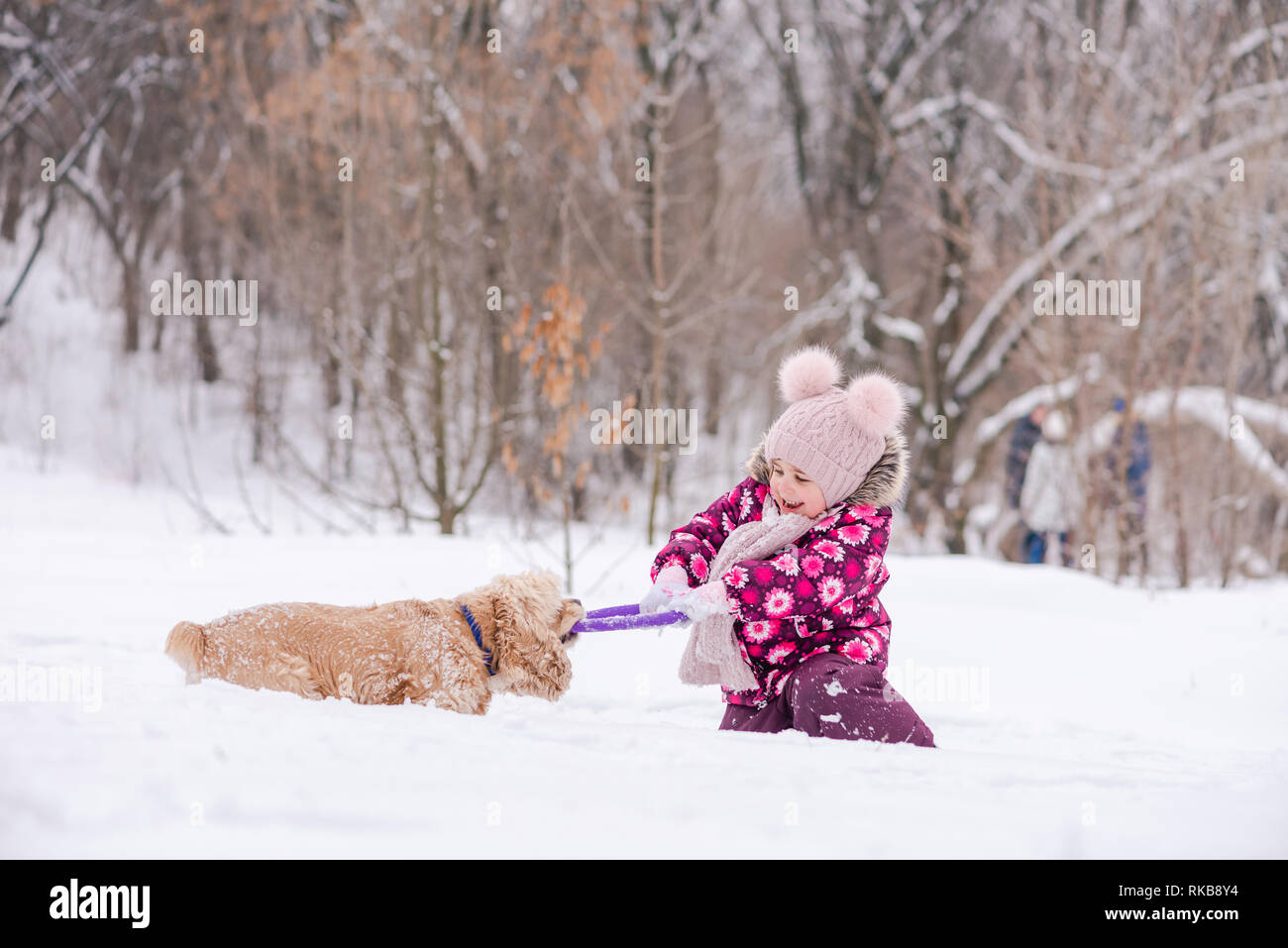 Girl with cocker spaniel hi-res stock photography and images - Alamy