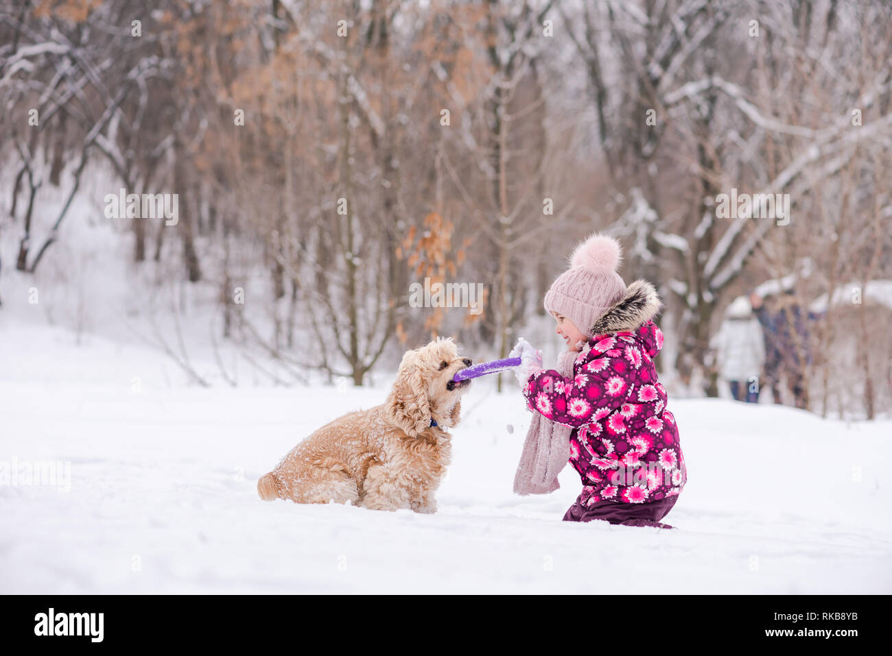 Girl with cocker spaniel hi-res stock photography and images - Alamy