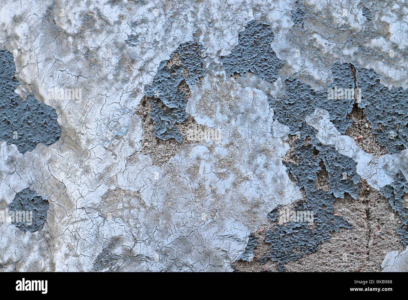 Close up high resolution surface of weathered paint on a wall Stock ...