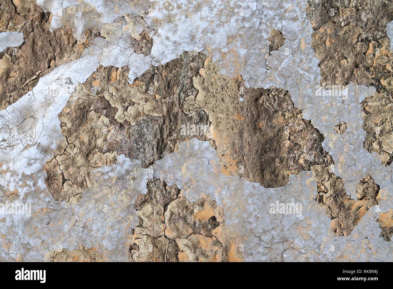 Close up high resolution surface of weathered paint on a wall Stock ...
