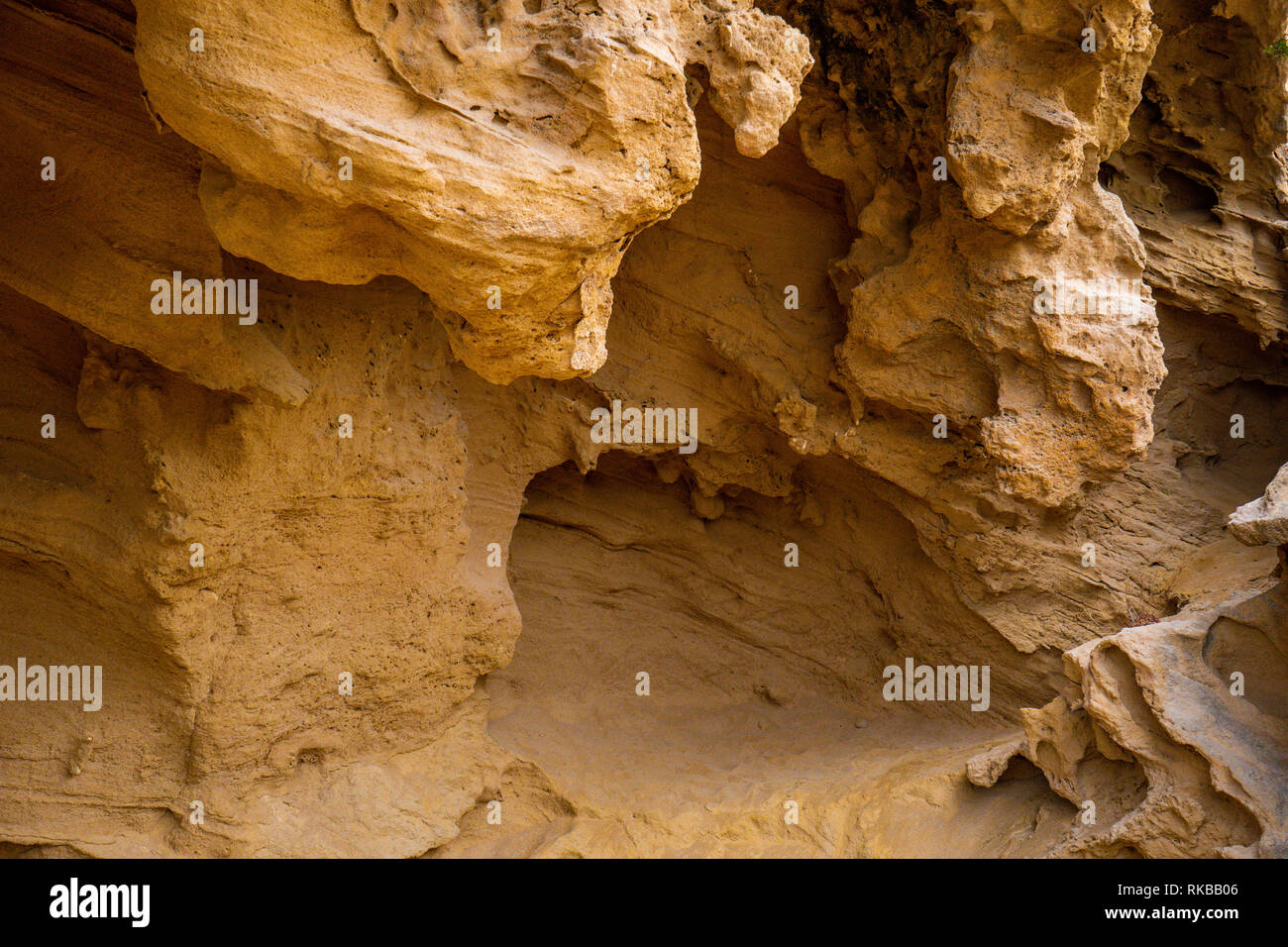 Textured wall of a sandstone canyon Stock Photo - Alamy