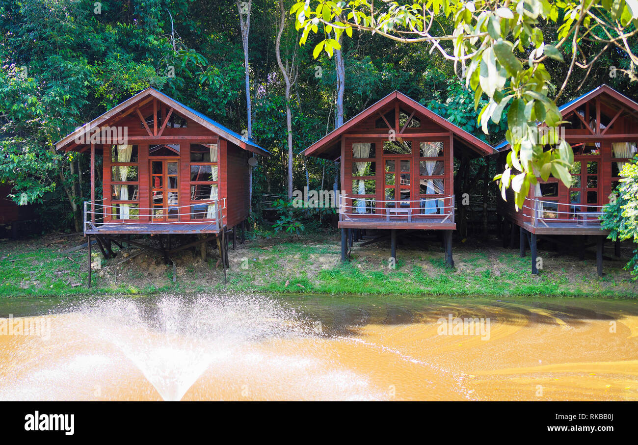 Borneo to get a glimpse of the stunning hi-res stock photography and ...
