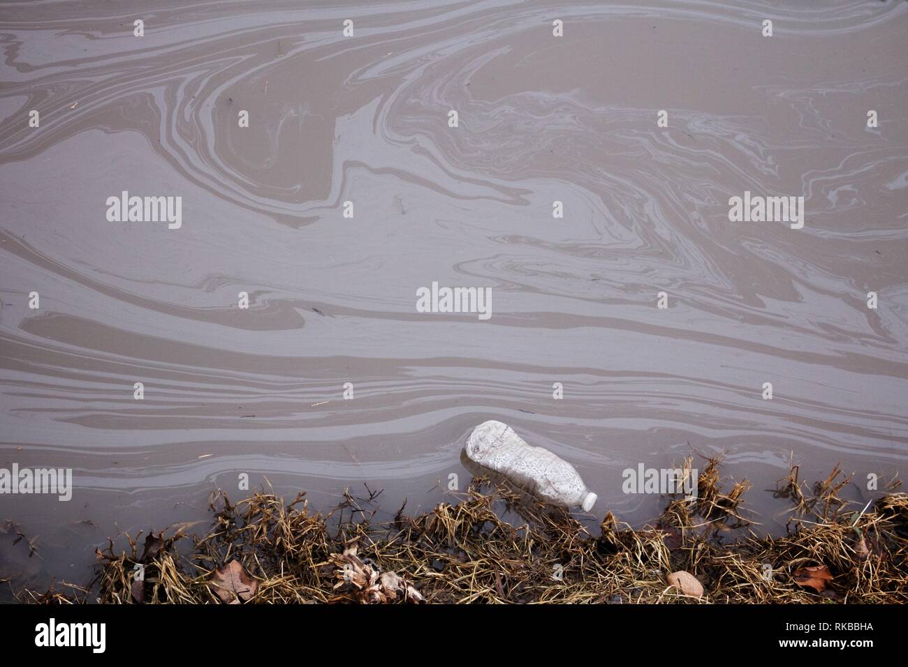 A discarded water bottle floats in a polluted stream Stock Photo - Alamy