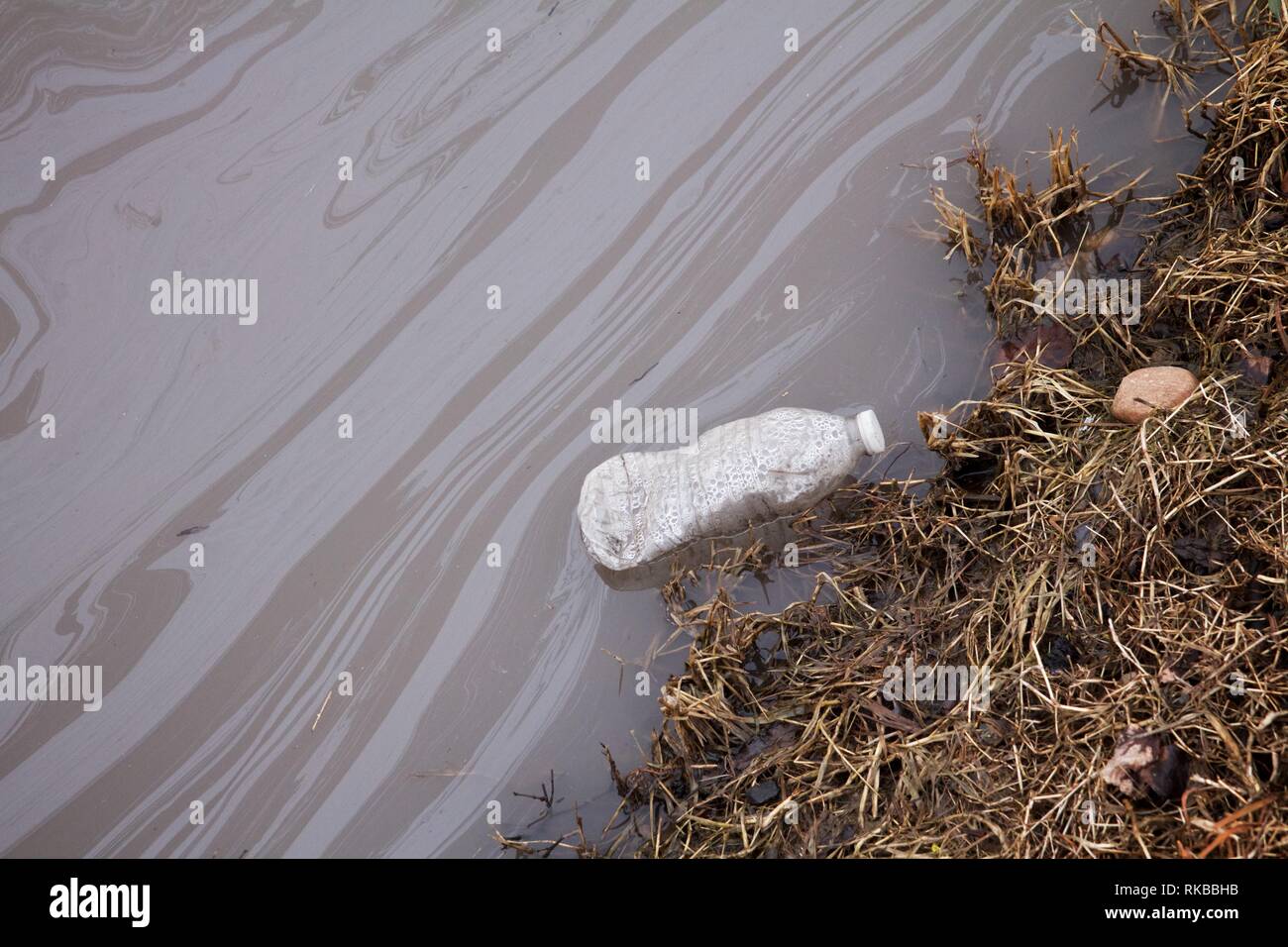 A discarded water bottle floats in a polluted stream Stock Photo - Alamy