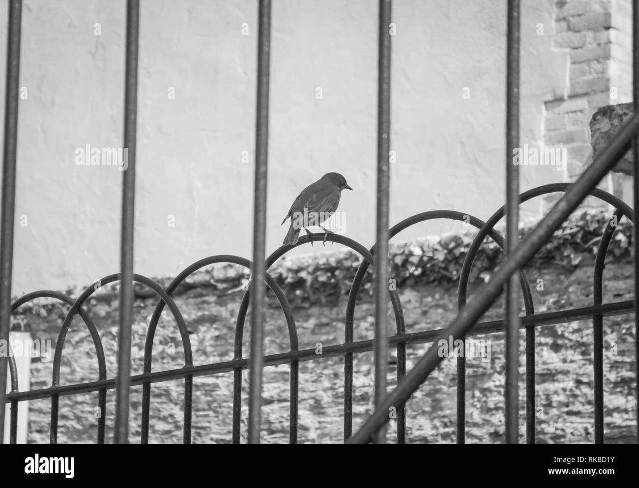 Stone like wall Black and White Stock Photos & Images - Alamy