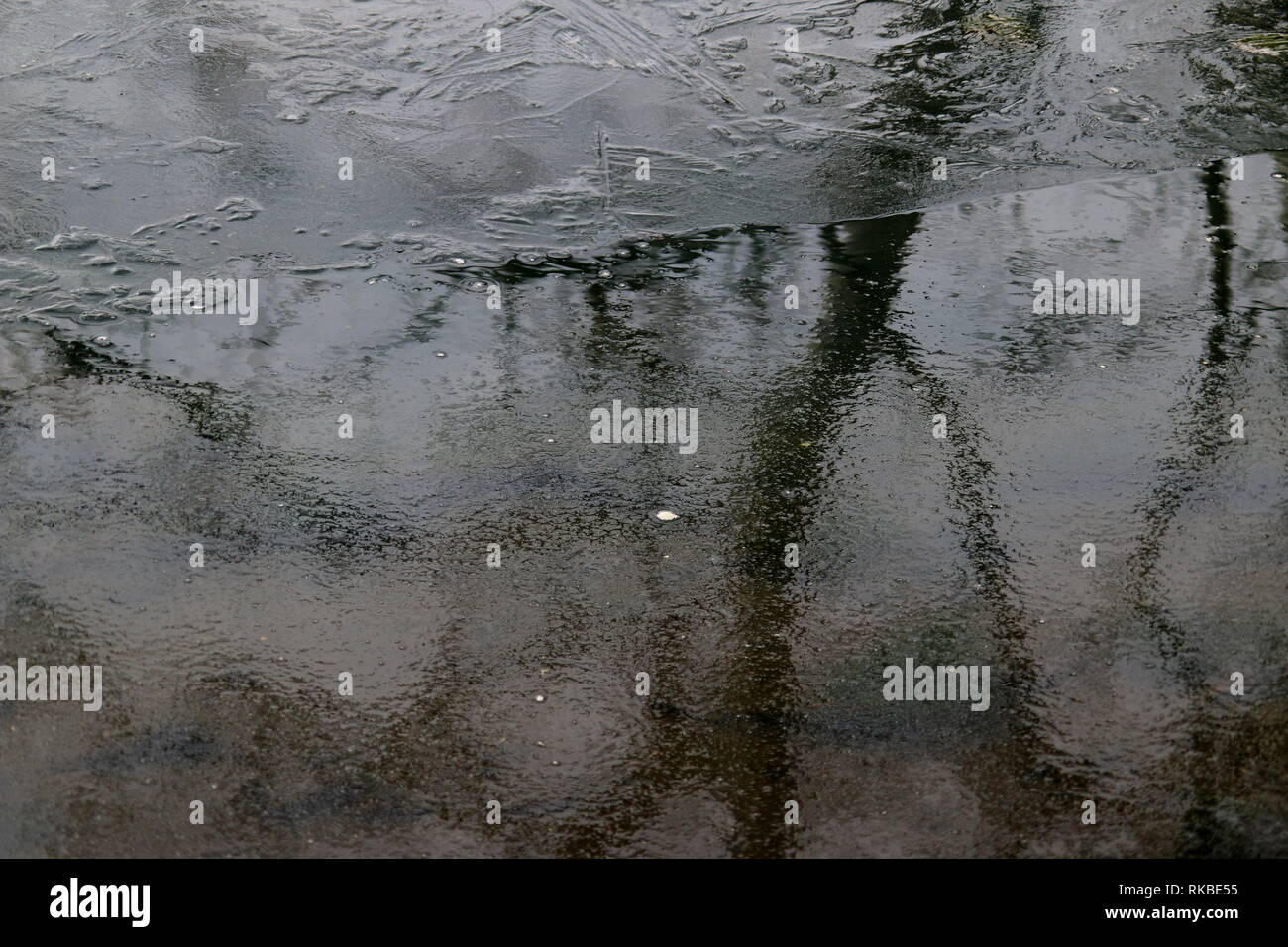 Icy tree hi-res stock photography and images - Alamy