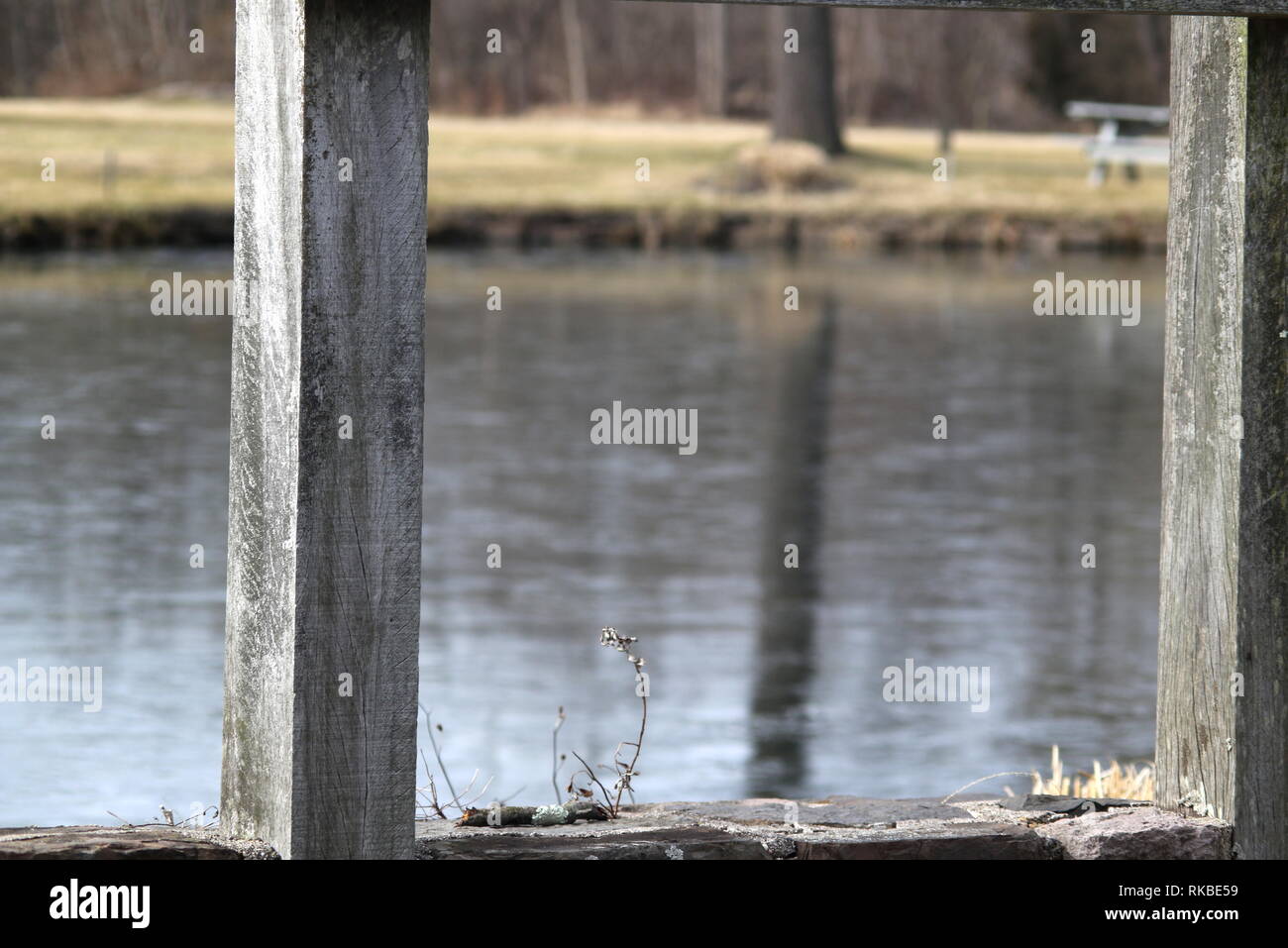 We are seeing this pond through the wooden slats of a bridge Stock ...