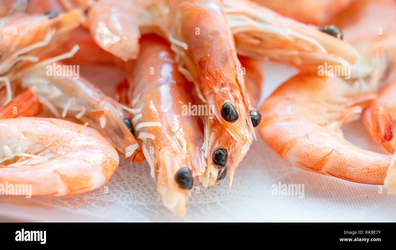 A single cooked shrimp hi-res stock photography and images - Alamy