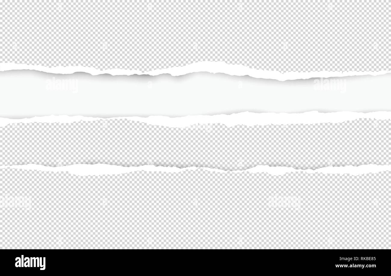 Ripped squared horizontal white paper strips for text or message are on ...