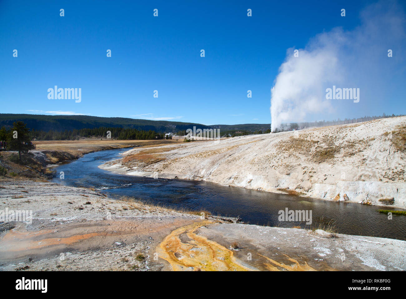 Geyser eruption in the Yellowstone national park, USA Stock Photo - Alamy