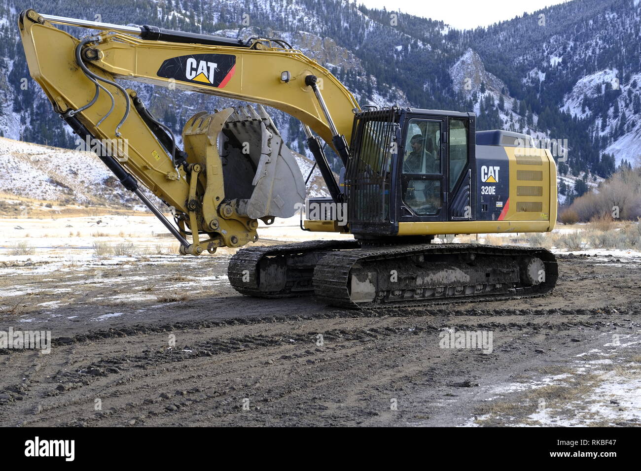 Cat Excavator at work Stock Photo - Alamy