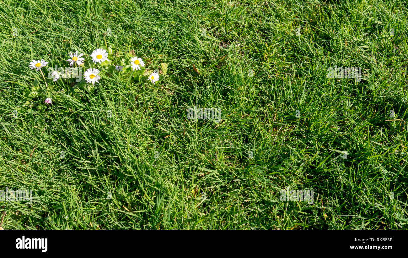 Pretty images hi-res stock photography and images - Alamy