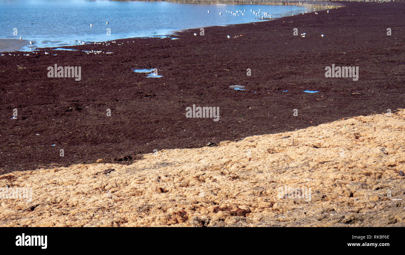 Multi-colored Beach in the Sun Stock Photo - Alamy