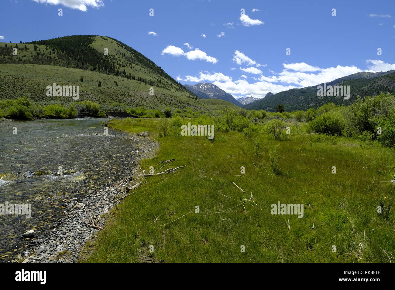 Trout creek basin hi-res stock photography and images - Alamy