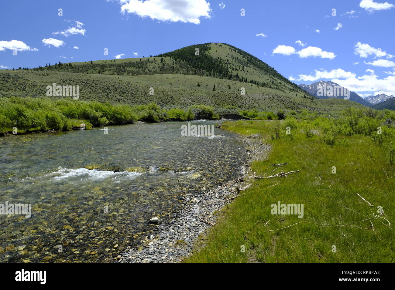 Wildhorse Creek, Idaho Stock Photo - Alamy